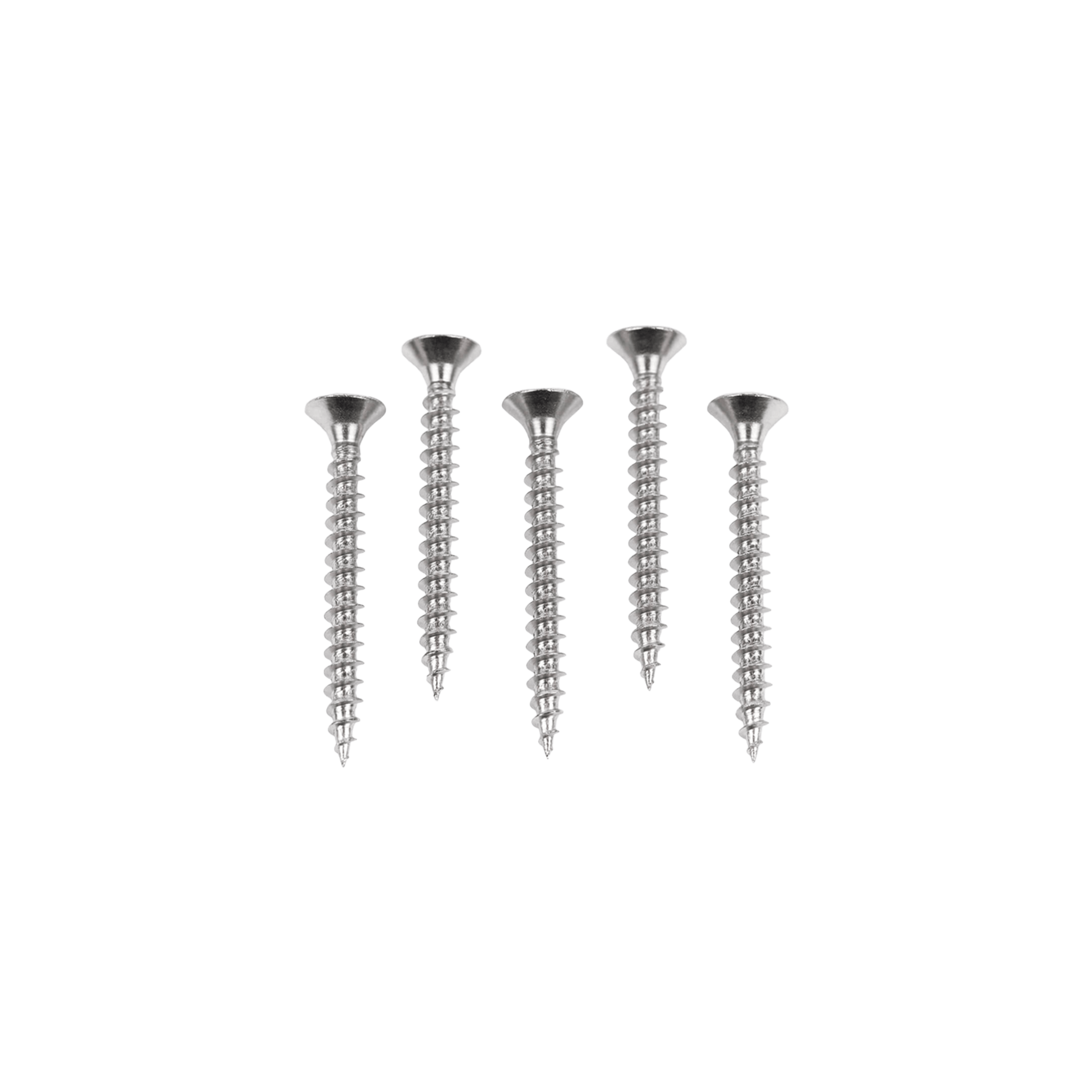 Hydrant Mounting Screws Pack of 5 | Aquor Water Systems